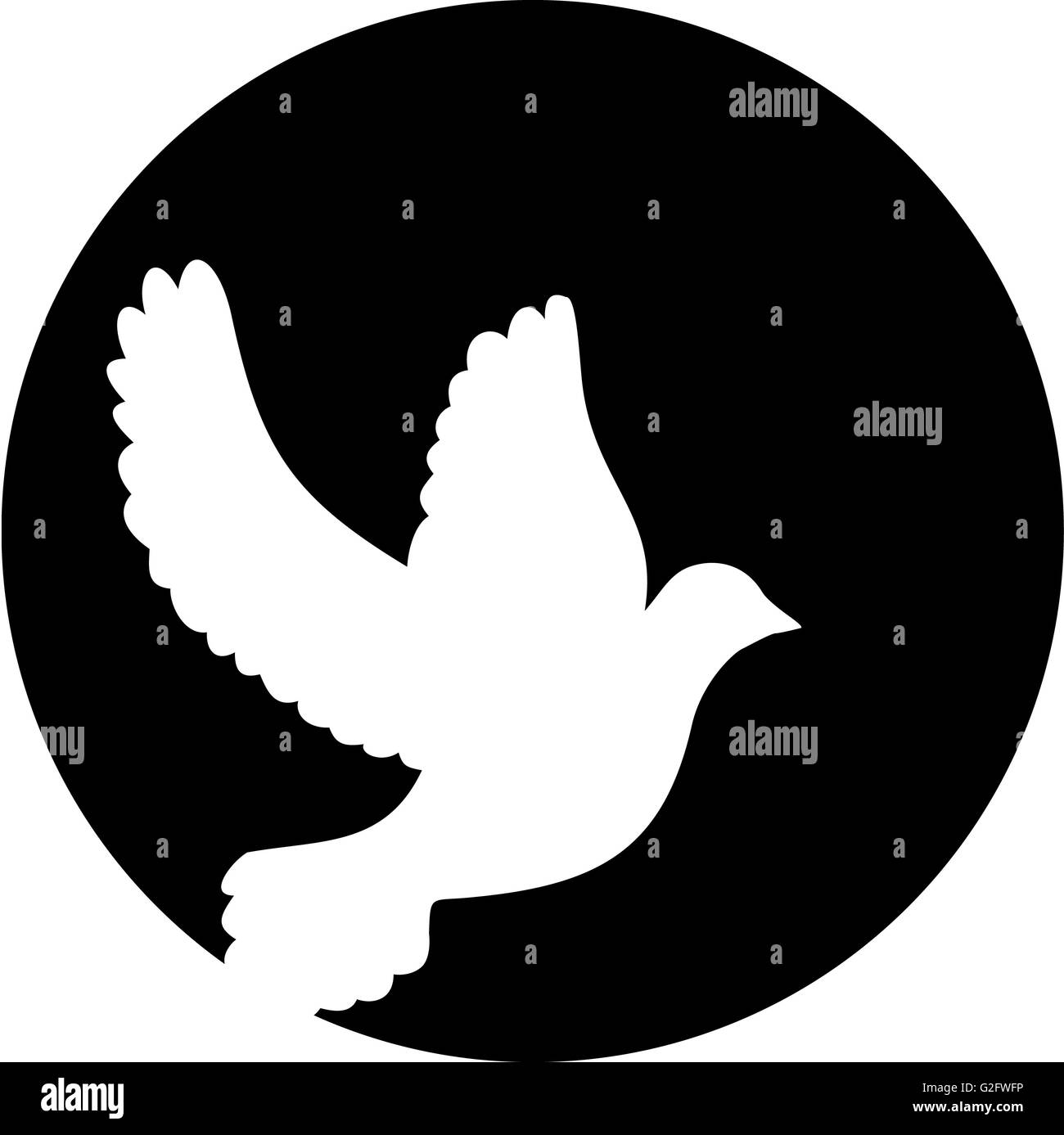 Dove flying front Black and White Stock Photos & Images - Alamy