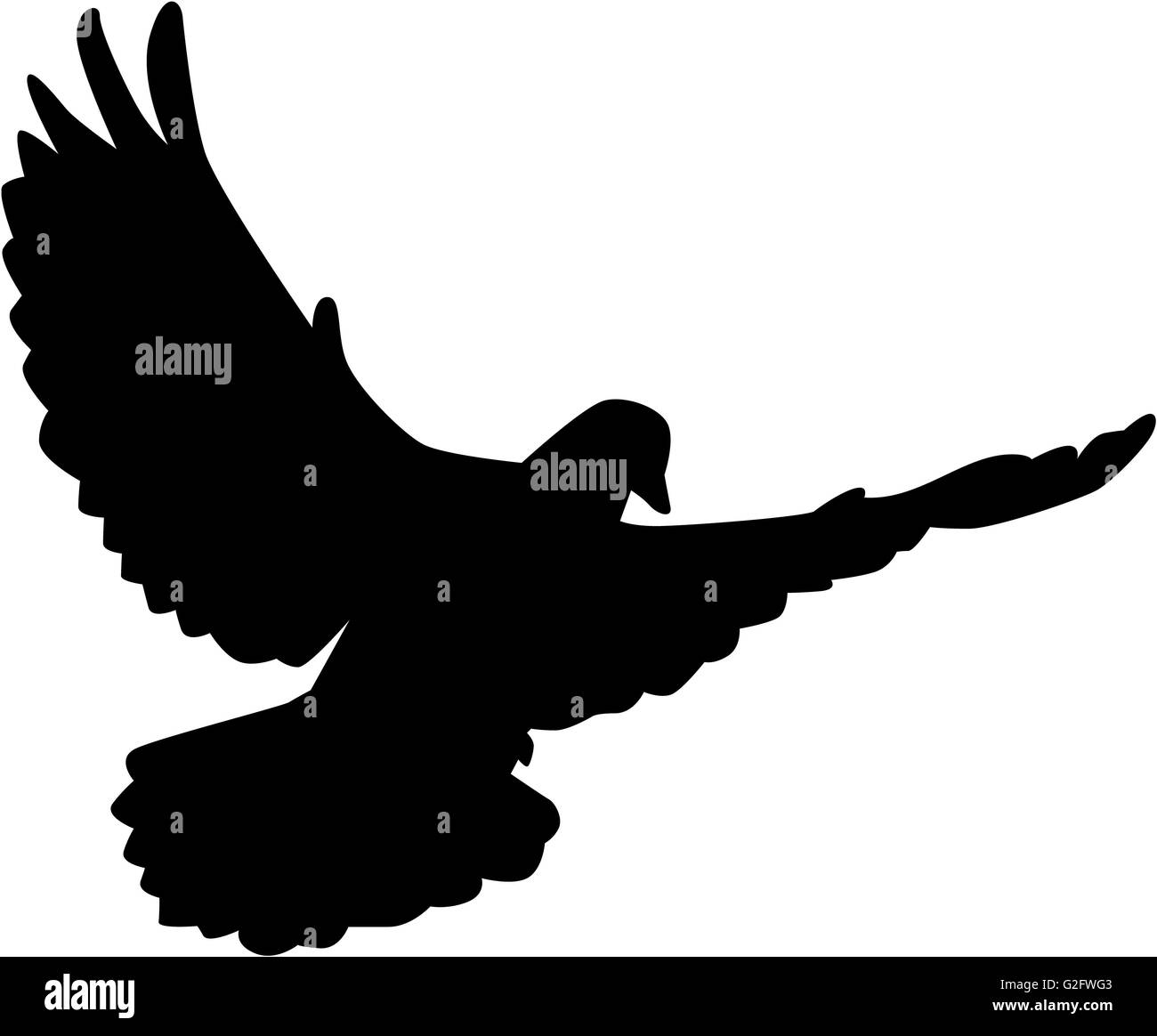 Flying dove silhouette Stock Photo - Alamy
