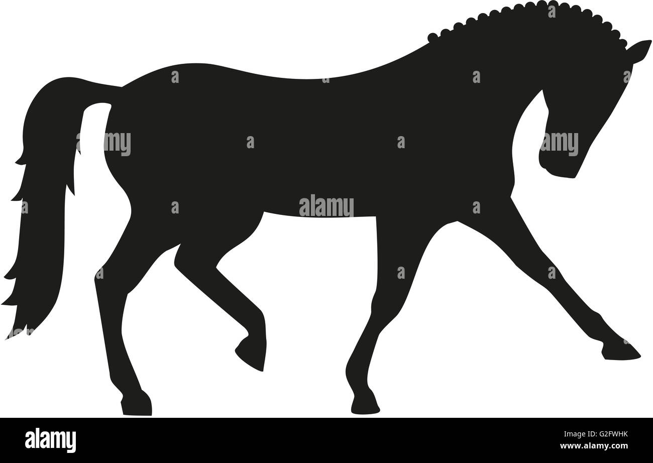 Woman riding horse Cut Out Stock Images & Pictures - Alamy