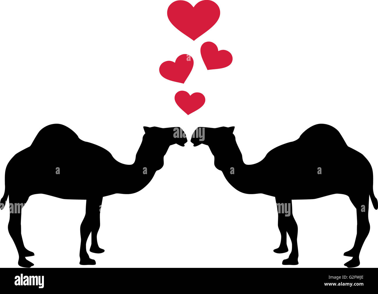 Dromedary Camel love Stock Photo - Alamy
