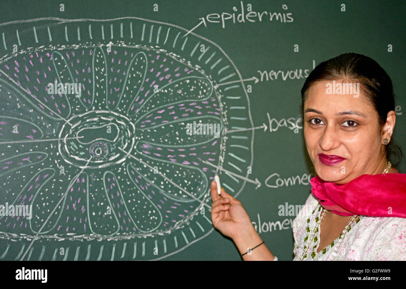 Indian female lecture hall hi-res stock photography and images - Alamy