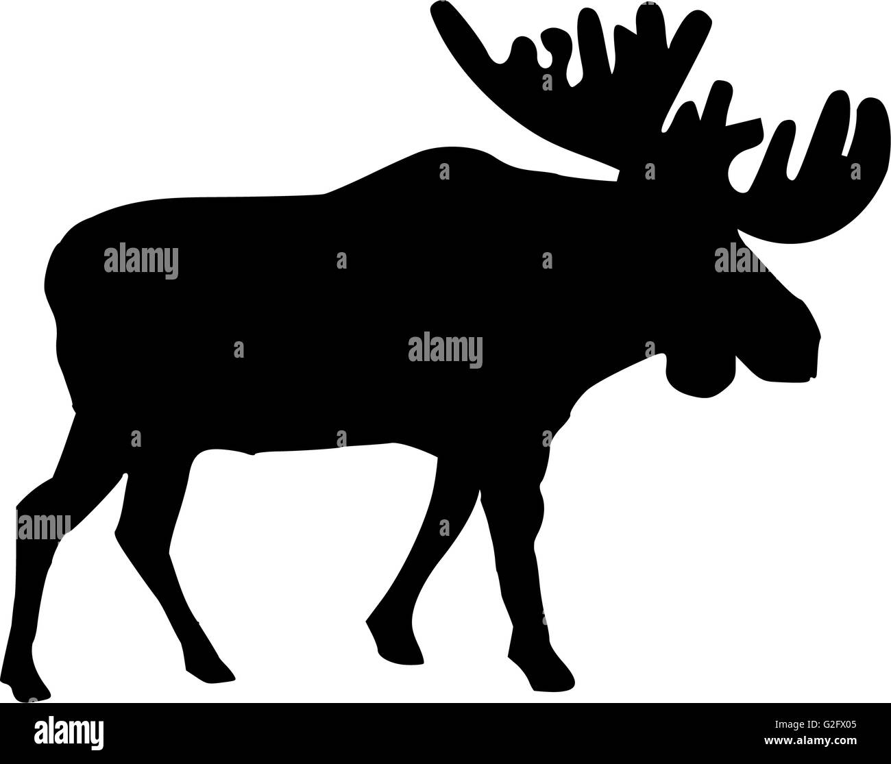Real moose silhouette Stock Photo - Alamy