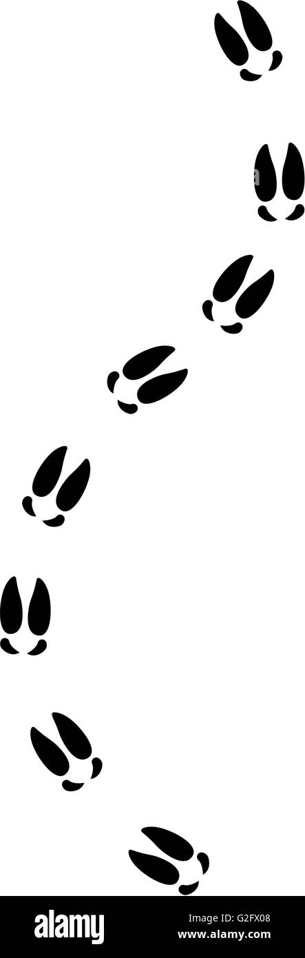 Moose tracks hi-res stock photography and images - Alamy