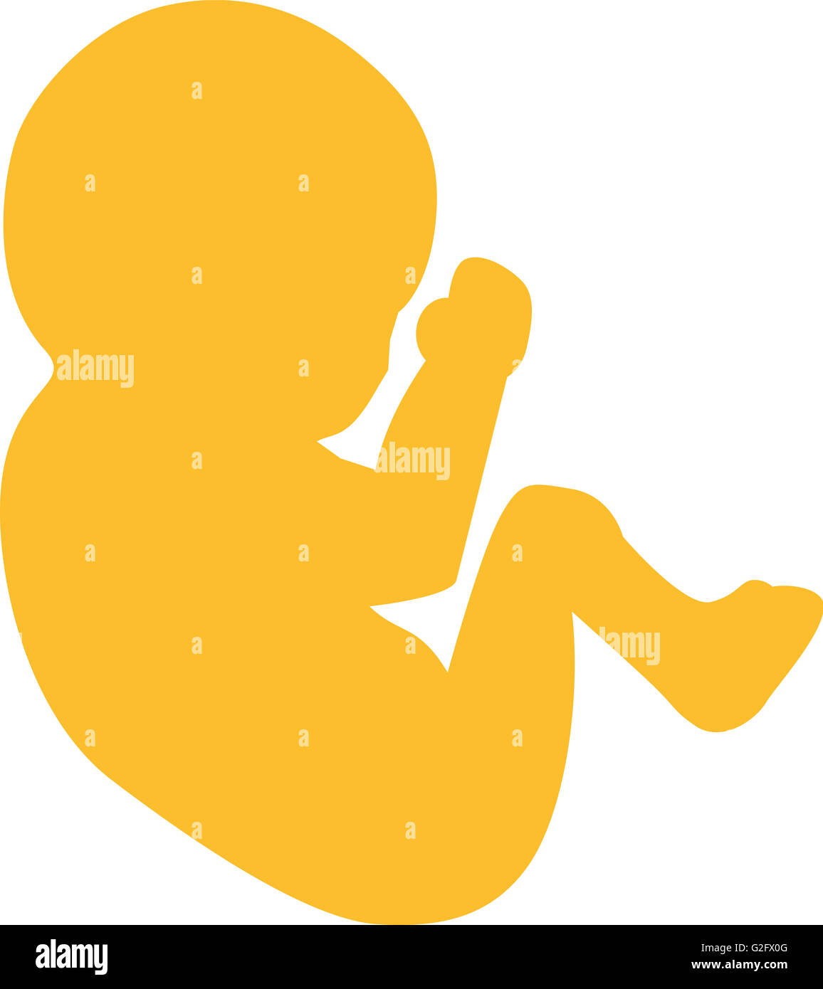 Fetus Silhouette