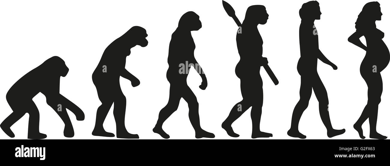 Human family evolution hi-res stock photography and images - Alamy