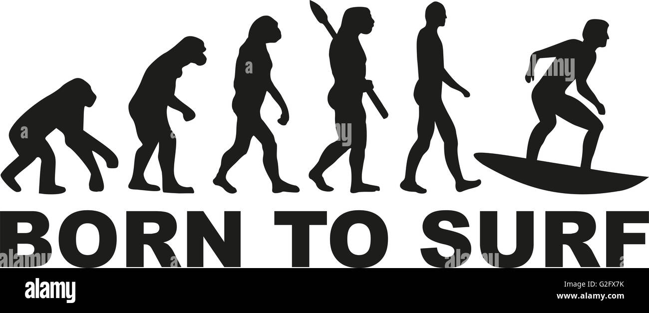 Surfing evolution - born to surf Stock Photo - Alamy