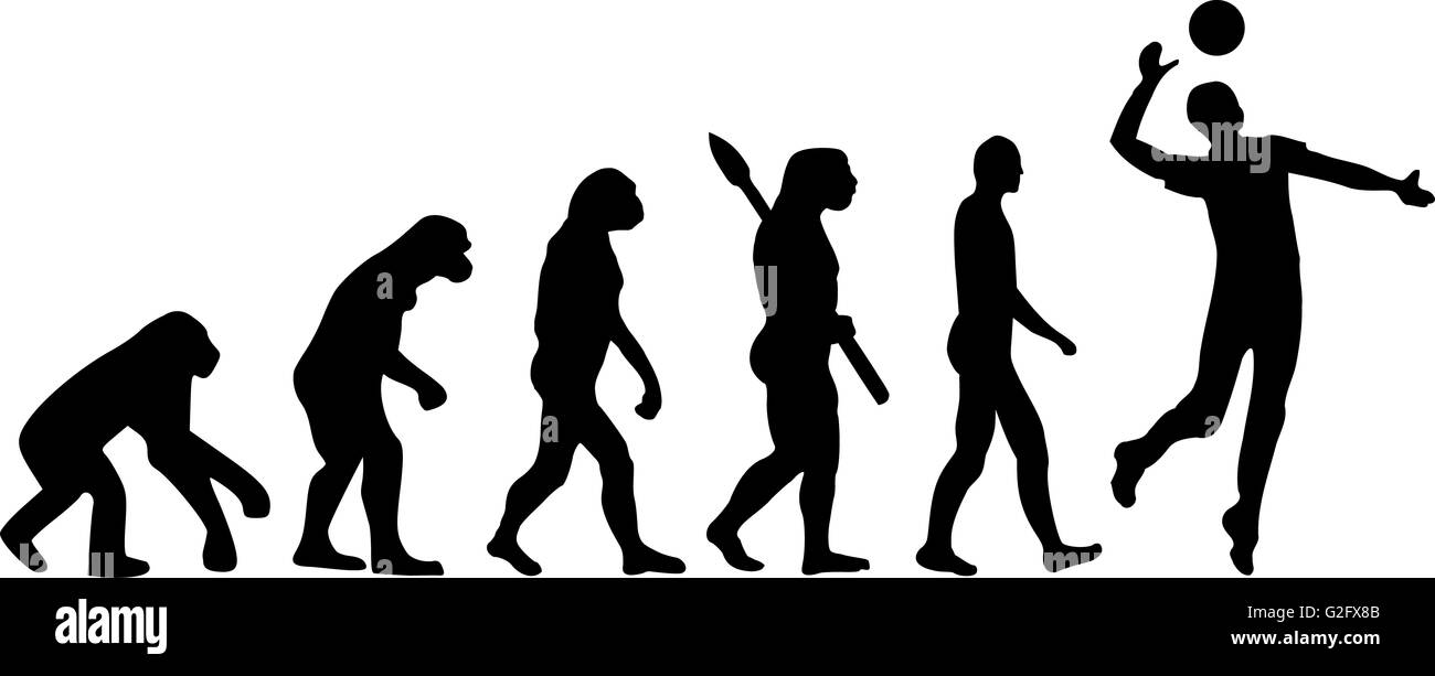 Human evolution darwin volley hi-res stock photography and images - Alamy