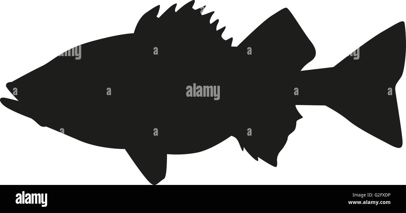 Fish bass silhouette hi-res stock photography and images - Alamy