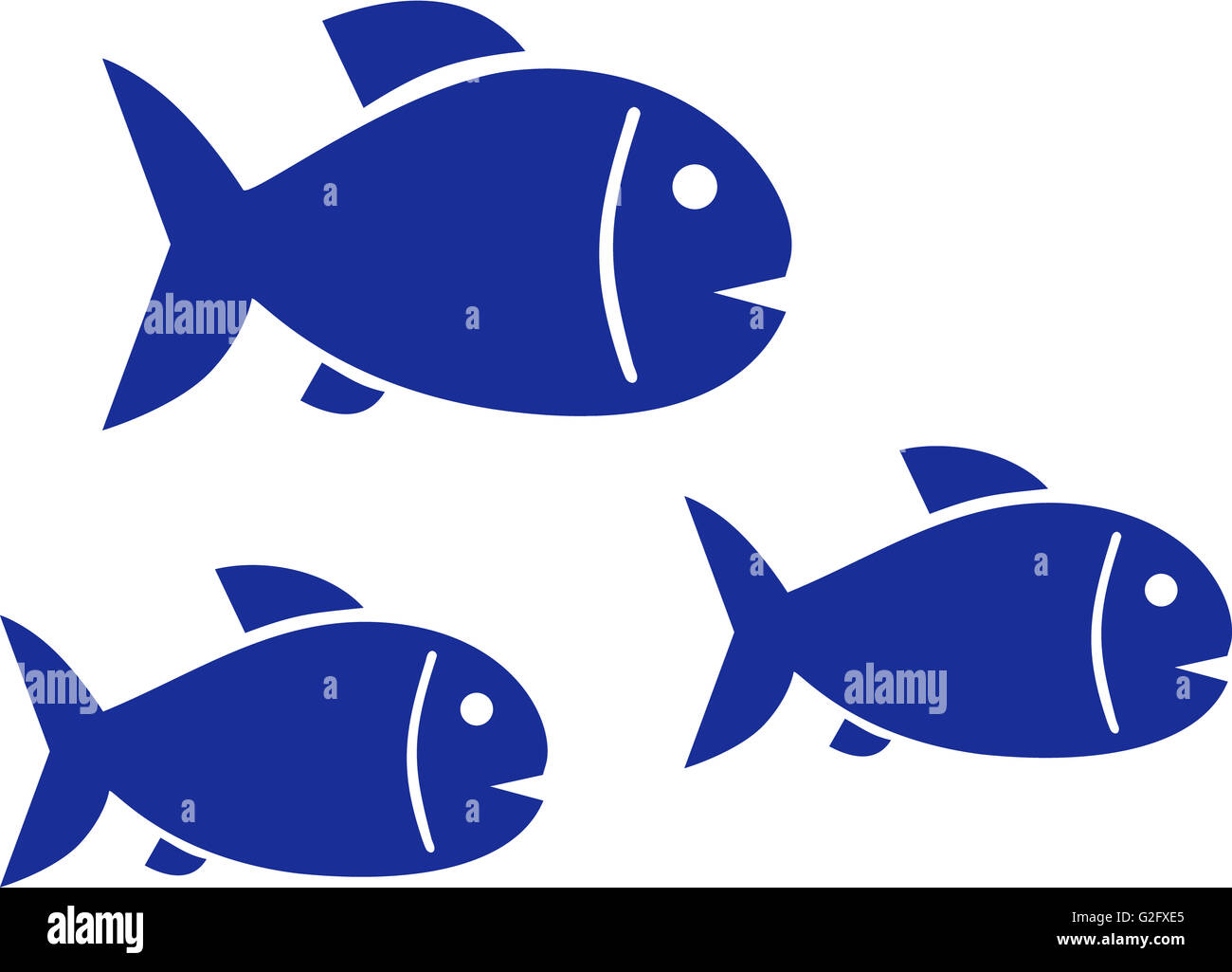 Three fishes swimming in the ocean Stock Photo - Alamy