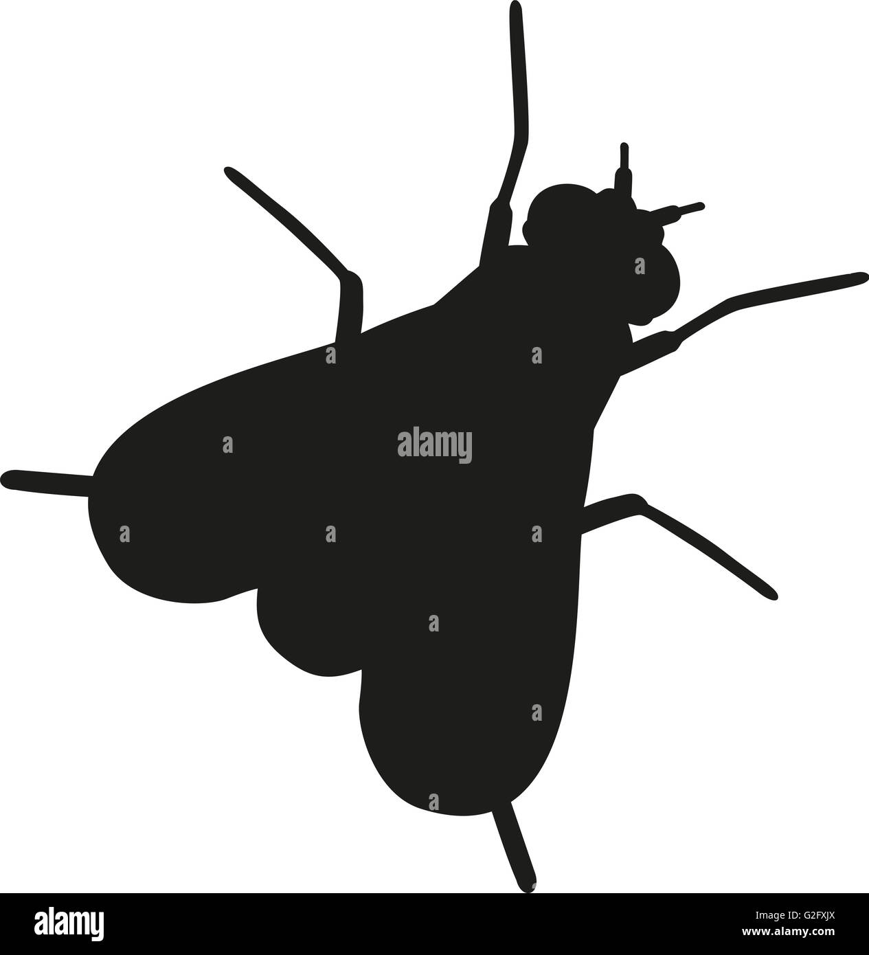 Silhouette of insect Cut Out Stock Images & Pictures - Alamy