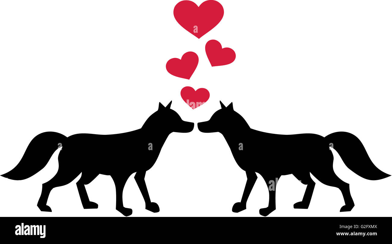 Two fox in love Stock Photo - Alamy
