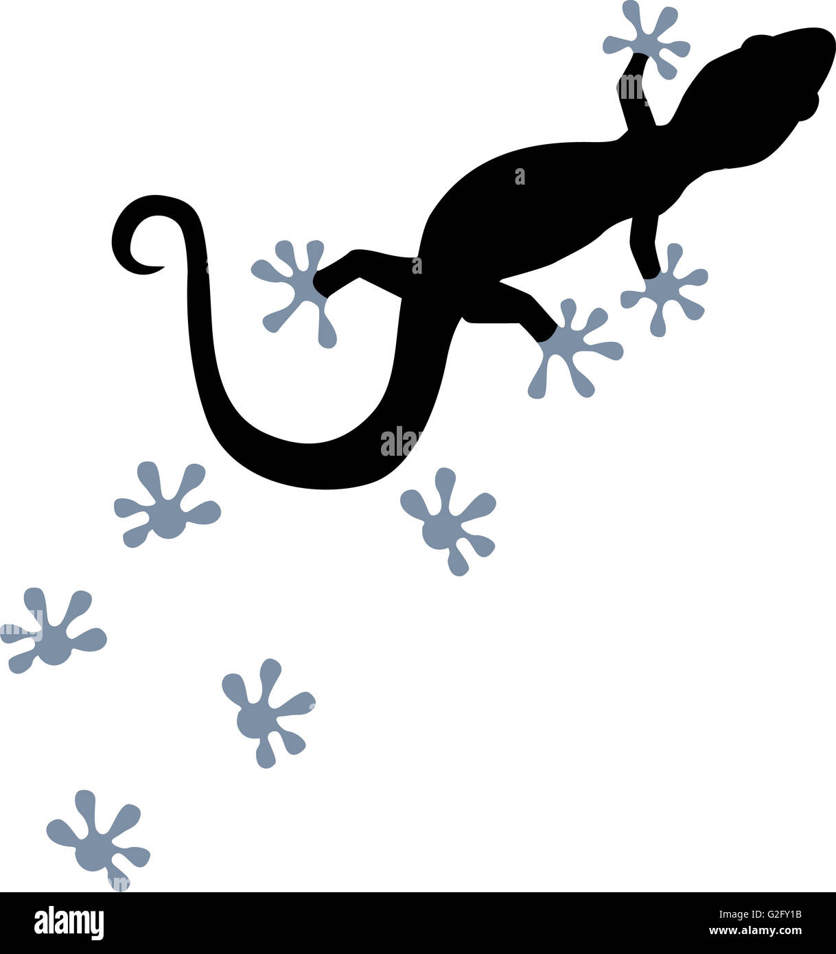 Gecko with footprint Stock Photo - Alamy