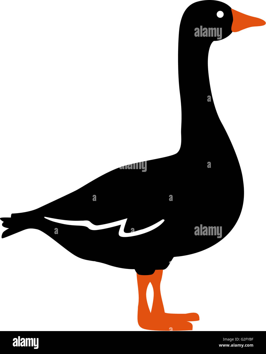 Goose in two colors Stock Photo - Alamy