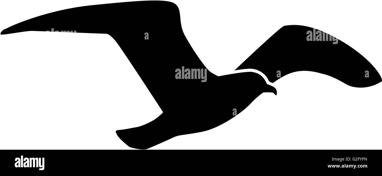 Seagull flying silhouette Stock Photo - Alamy