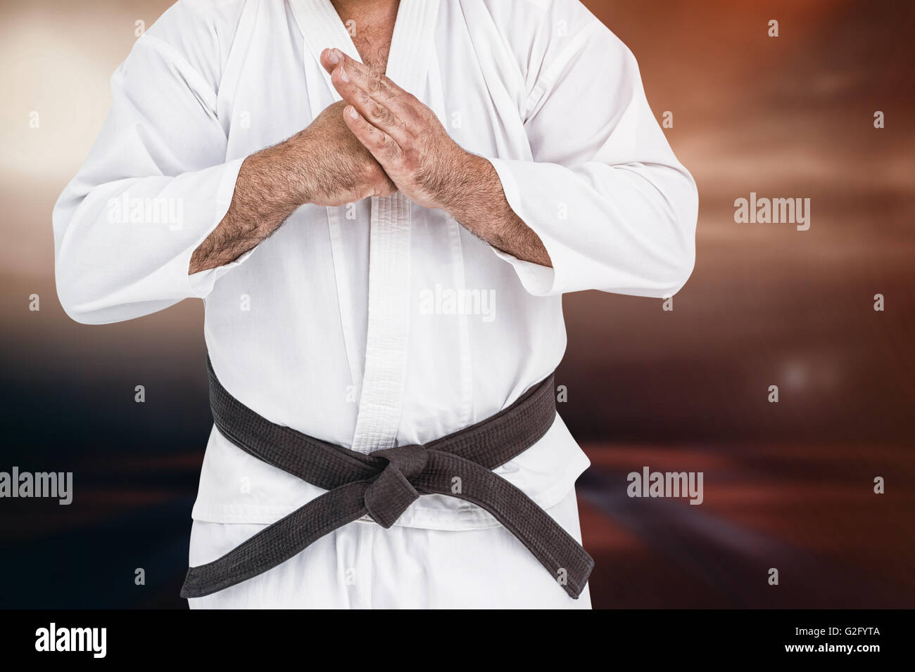 Composite image of fighter performing hand salute Stock Photo - Alamy