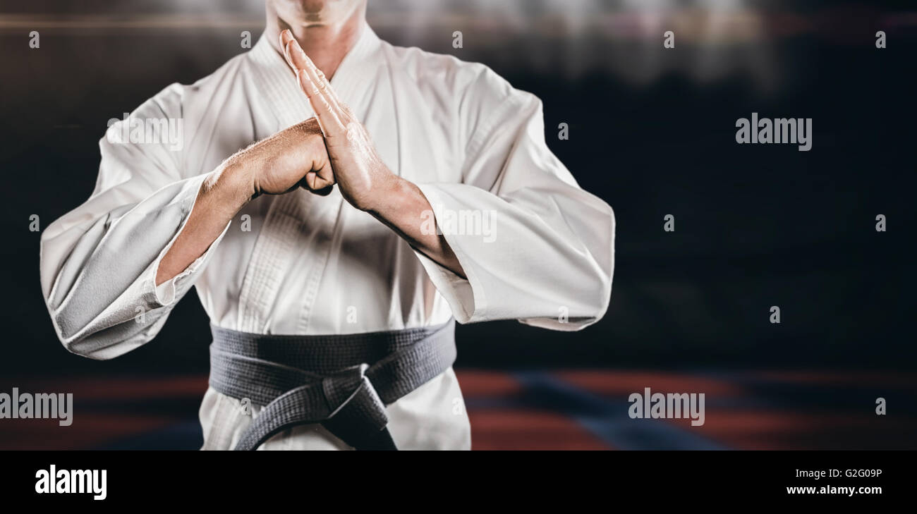 Composite image of fighter performing hand salute Stock Photo - Alamy