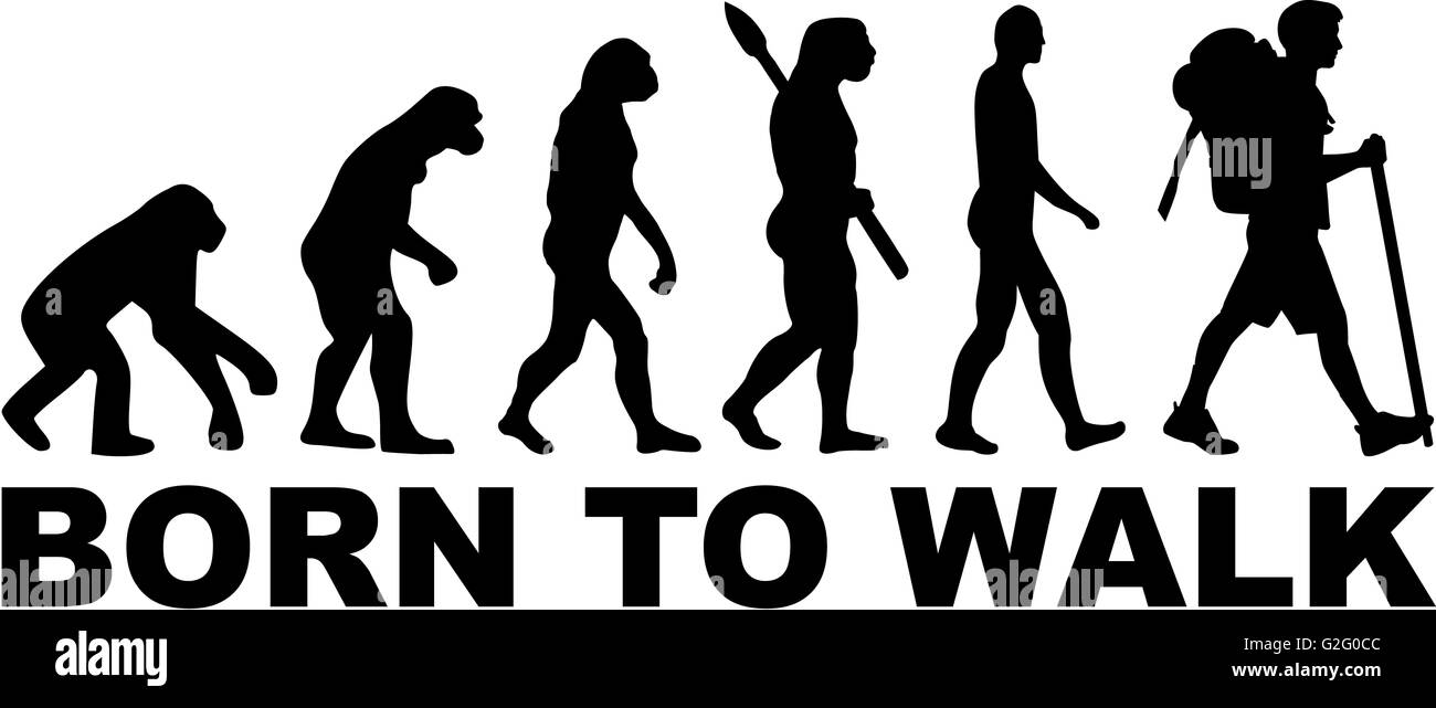 Evolution of man walking Black and White Stock Photos & Images - Alamy