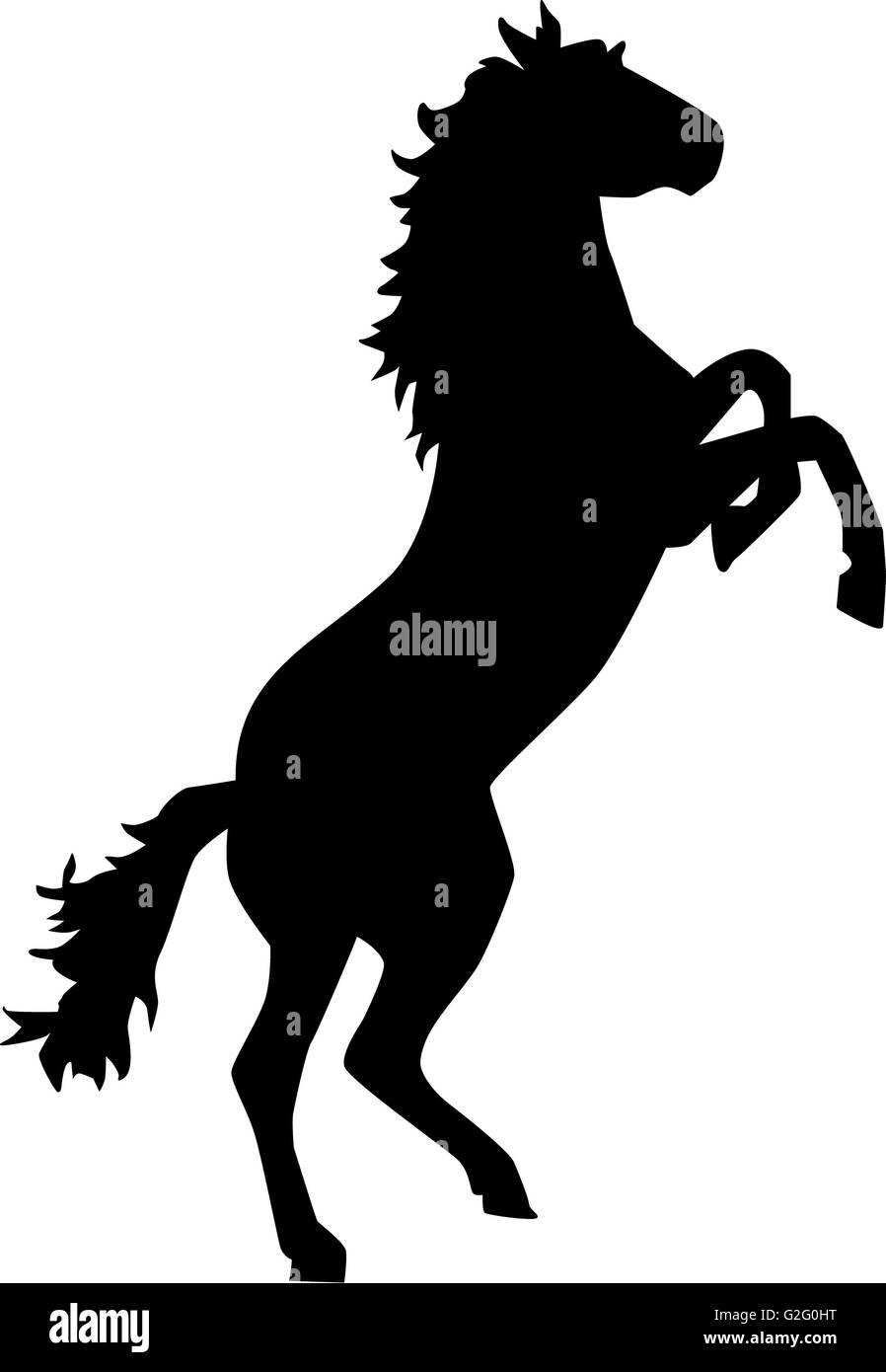 Horse rears up bronco Stock Photo - Alamy