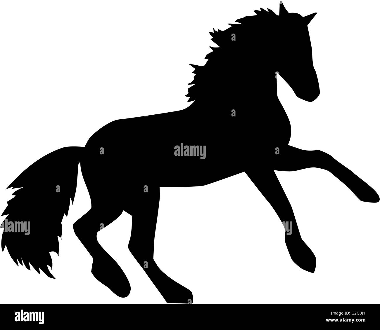 Horse forelegs hi-res stock photography and images - Alamy