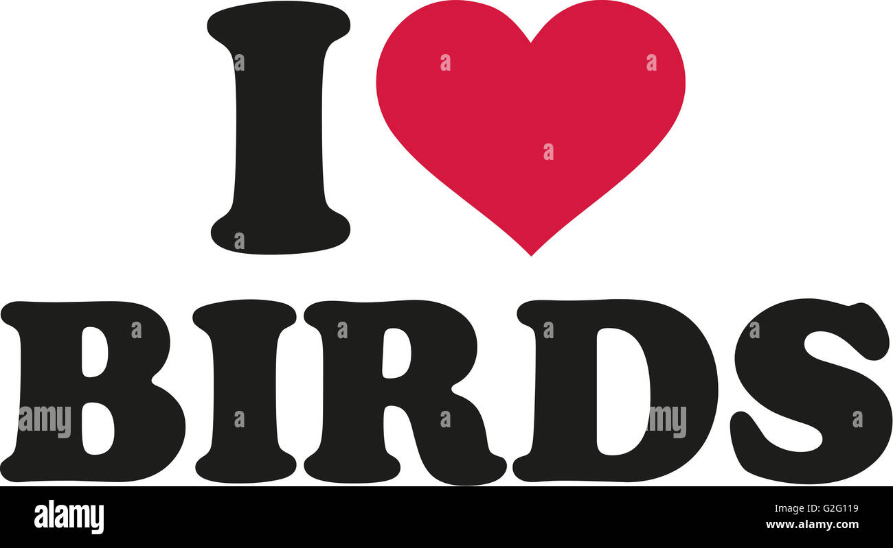 I love birds Stock Photo - Alamy