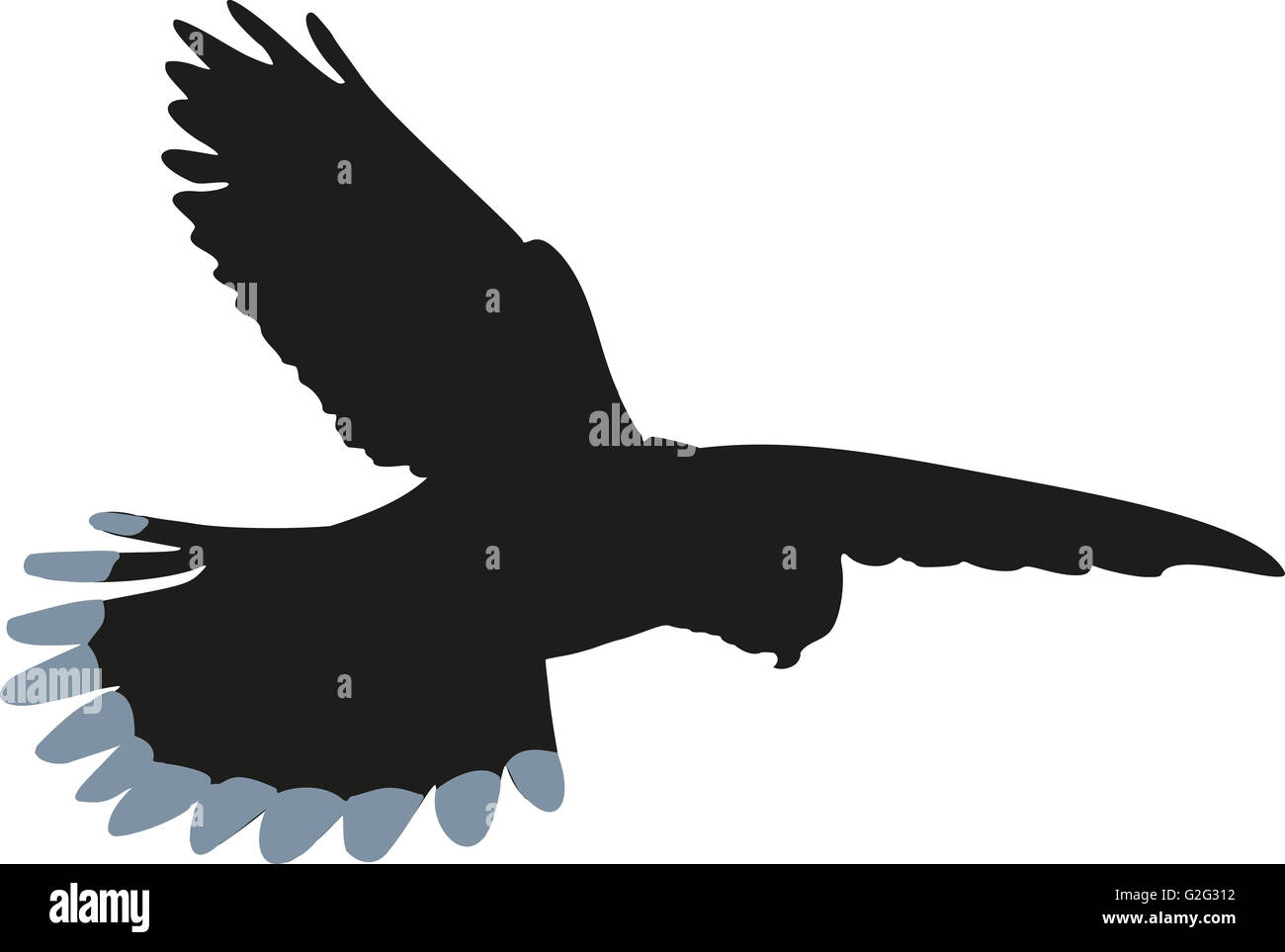 Kestrel silhouette Cut Out Stock Images & Pictures - Alamy