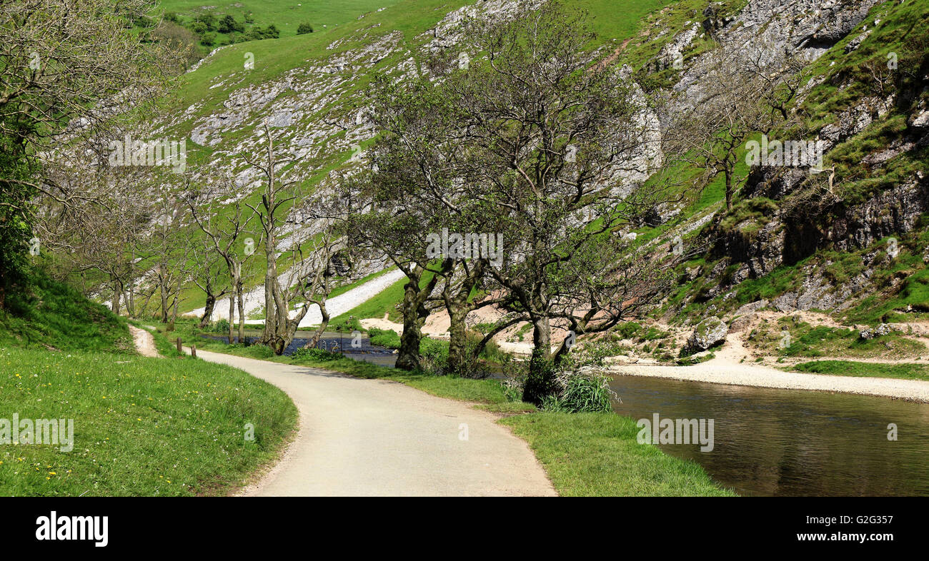Dovedale in the Derbyshire Peak district with the river Dove Stock ...