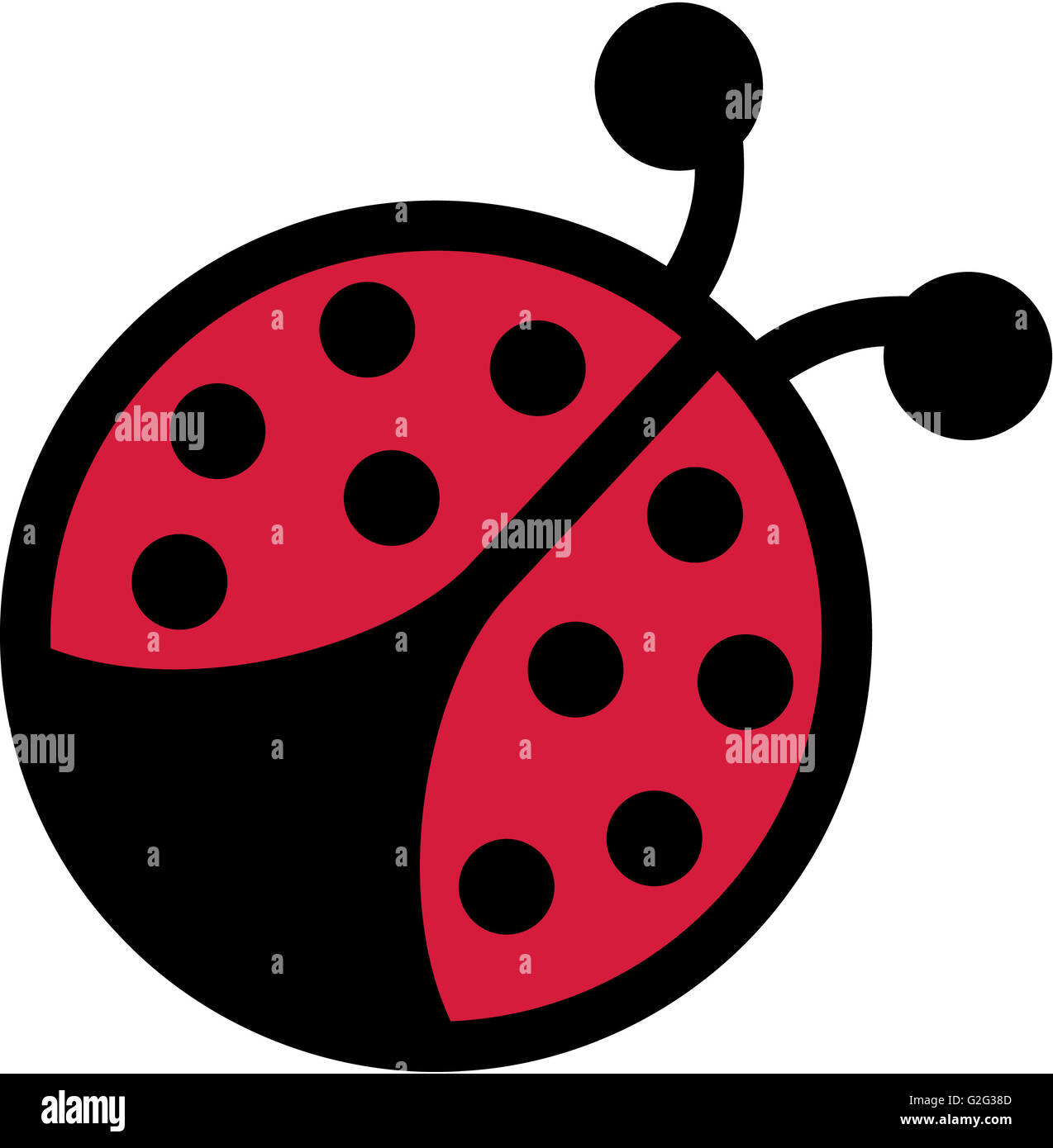 Ladybug with round body Stock Photo - Alamy
