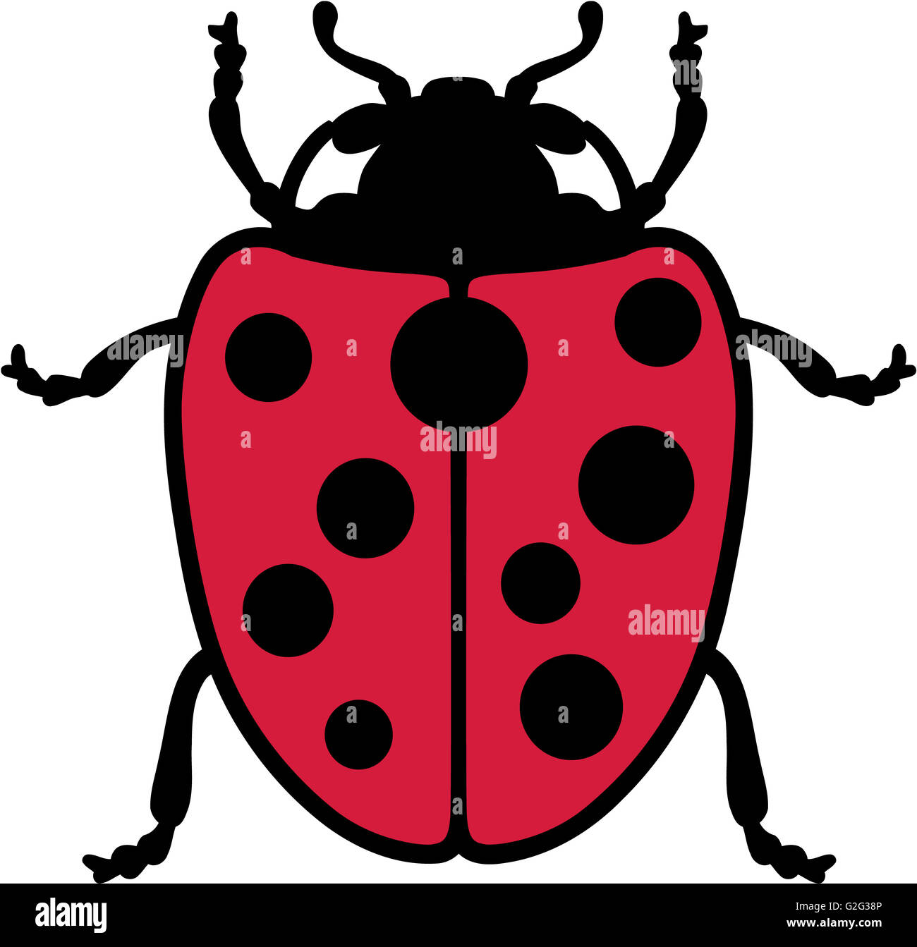 Real insect Cut Out Stock Images & Pictures - Alamy