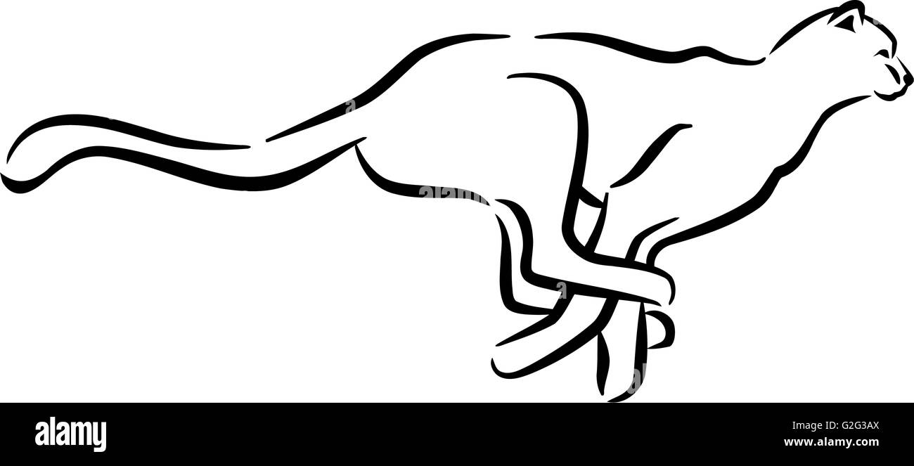 Running leopard hand drawn Stock Photo - Alamy
