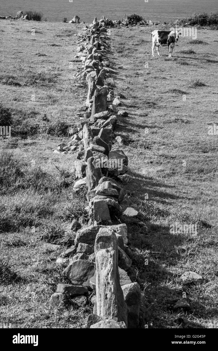 Leading rock Black and White Stock Photos & Images - Alamy