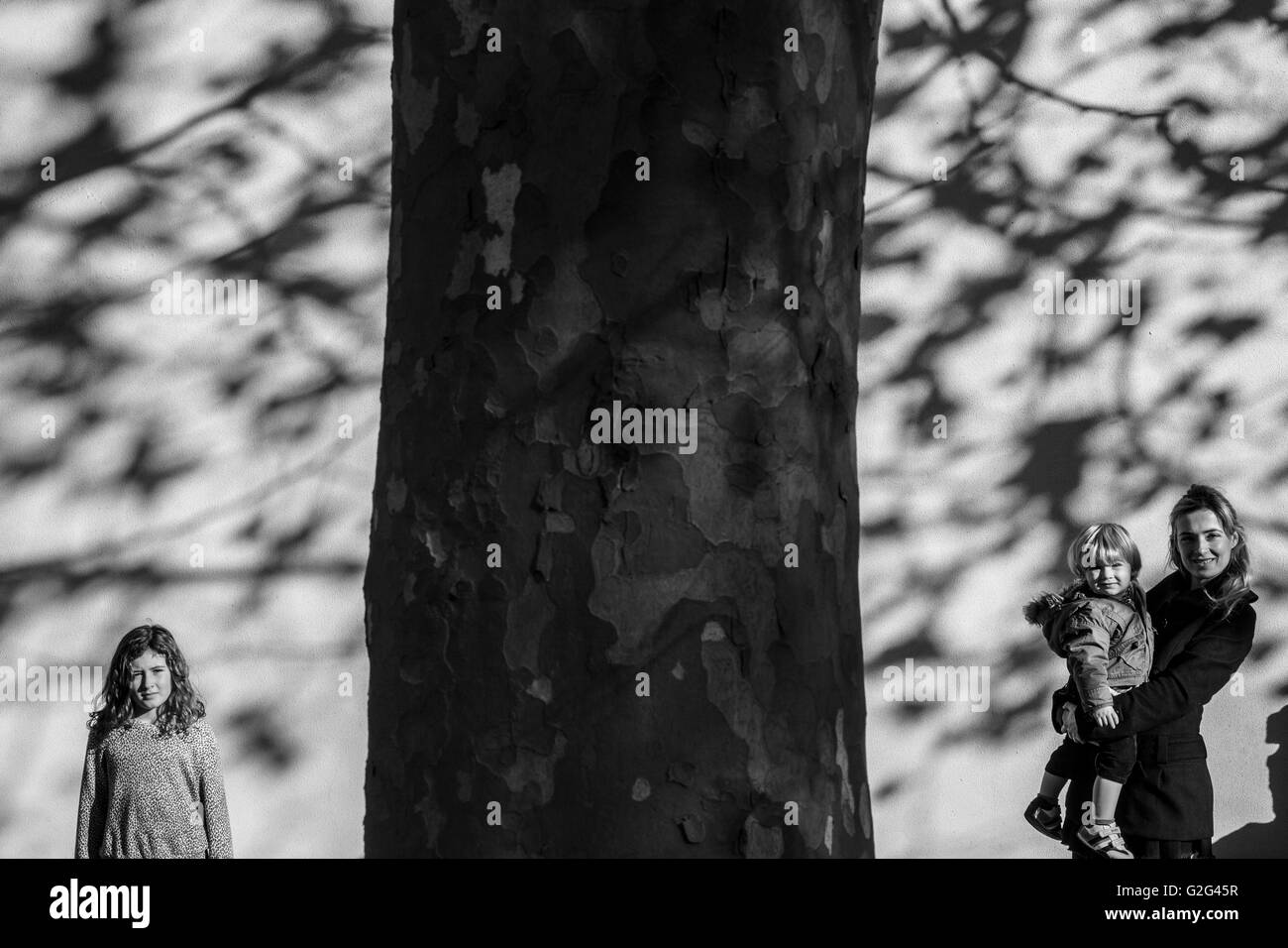Family tree stands hi-res stock photography and images - Alamy