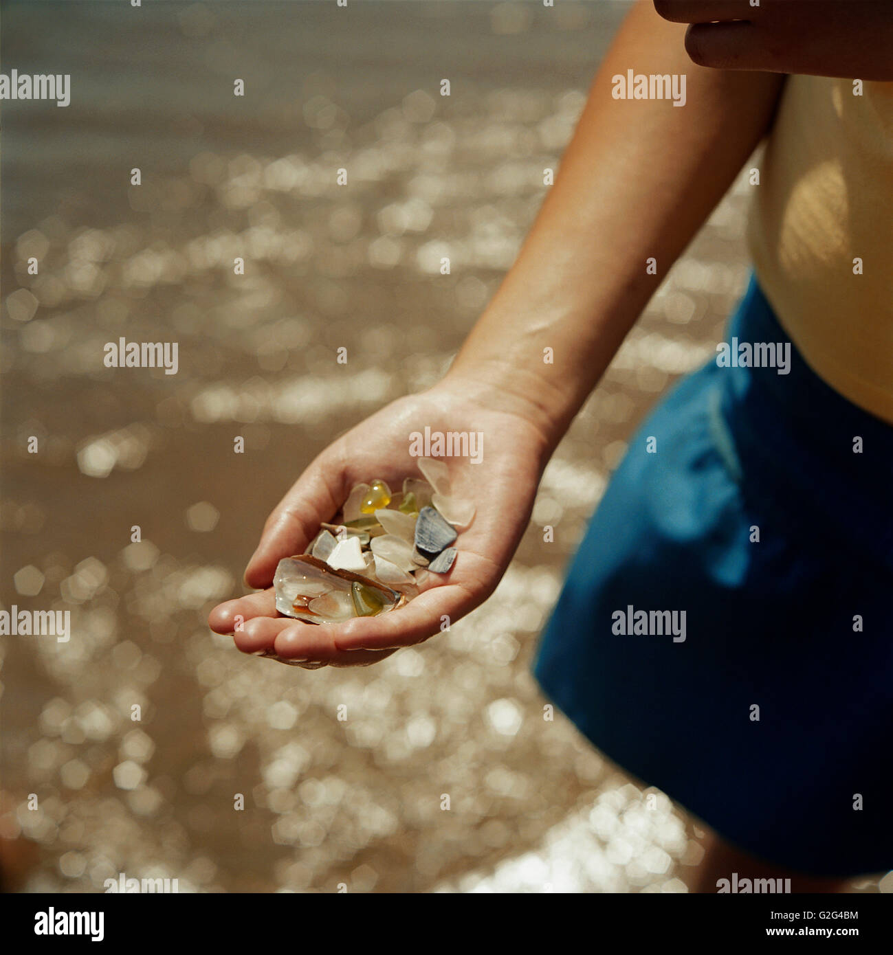 Hand with Shells Stock Photo - Alamy