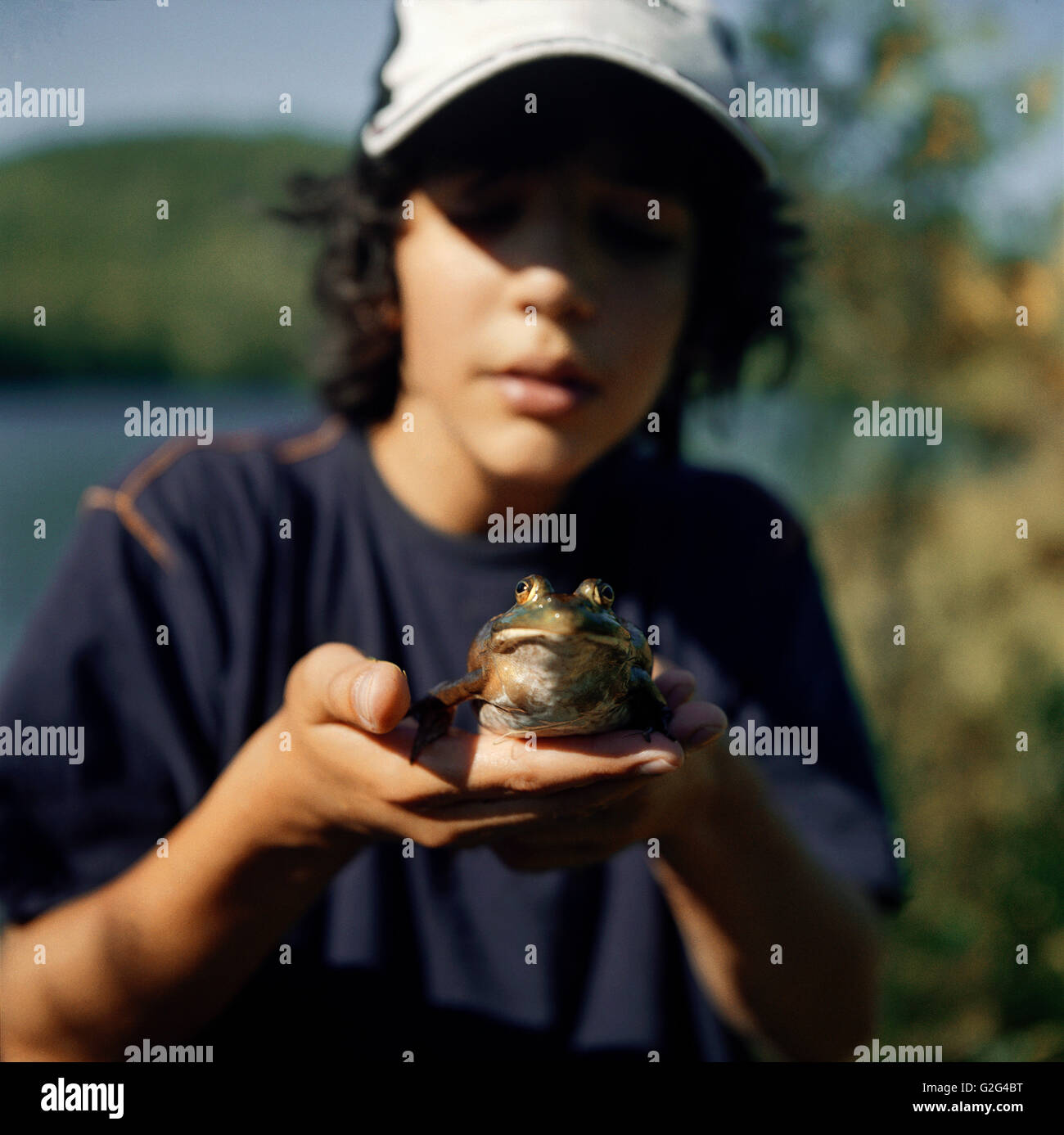 Boy holding frog hi-res stock photography and images - Alamy