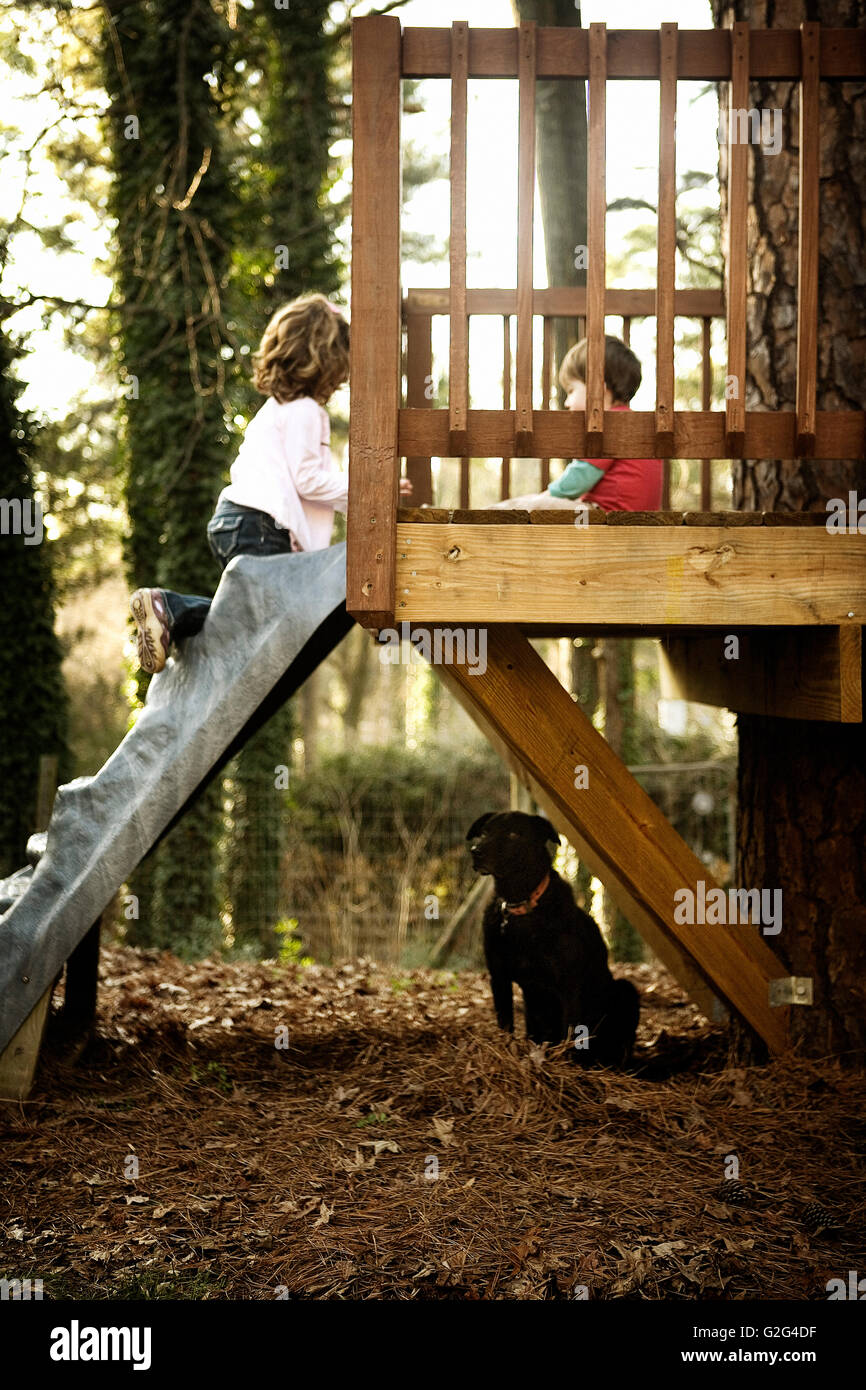 Children playing with dog outside hi-res stock photography and images ...