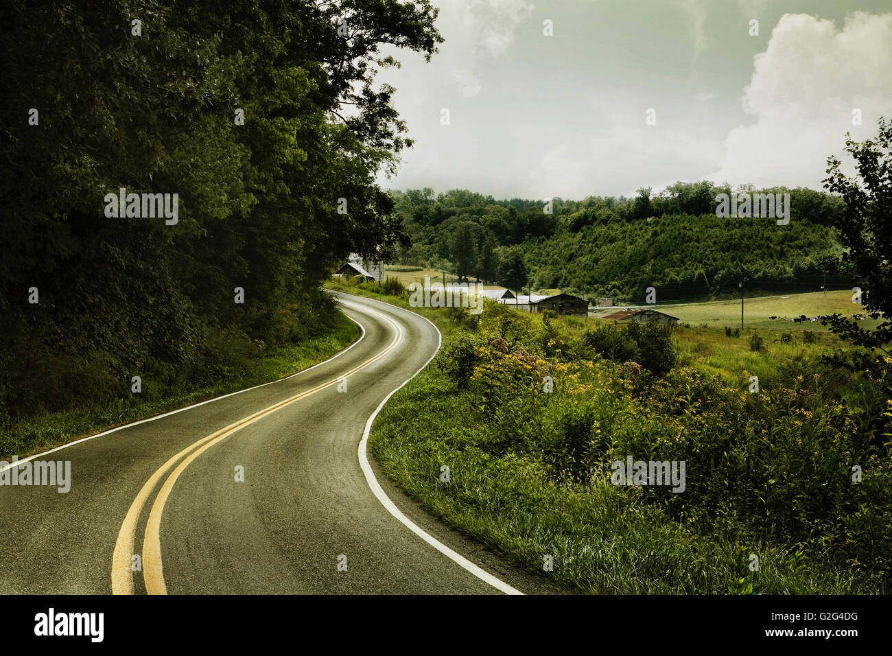 Curved Road Surrounded by Greenery Stock Photo - Alamy