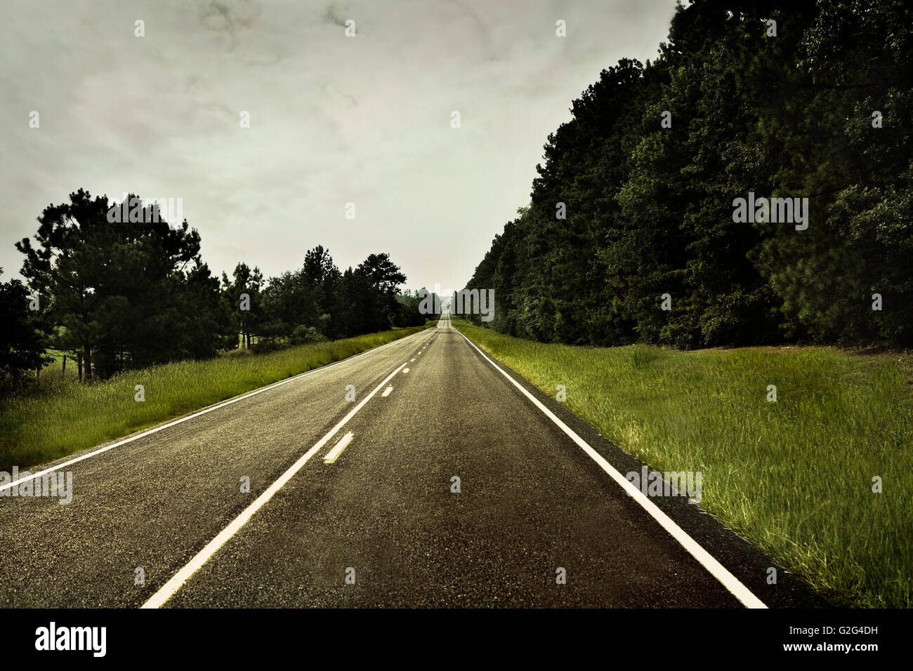 Open Country Road and Trees Stock Photo - Alamy