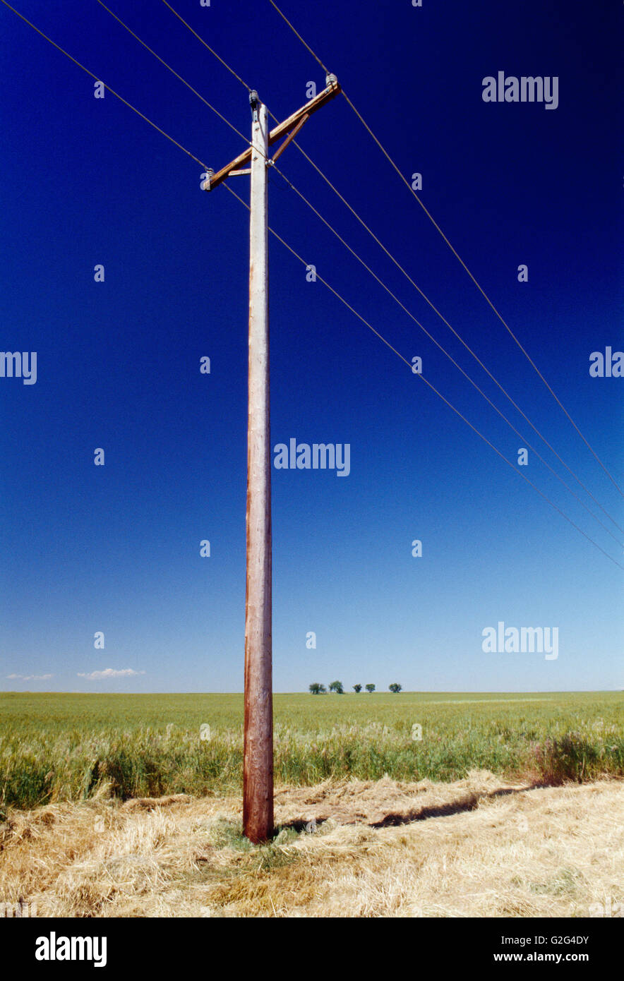 Telephone pole in field hi-res stock photography and images - Alamy