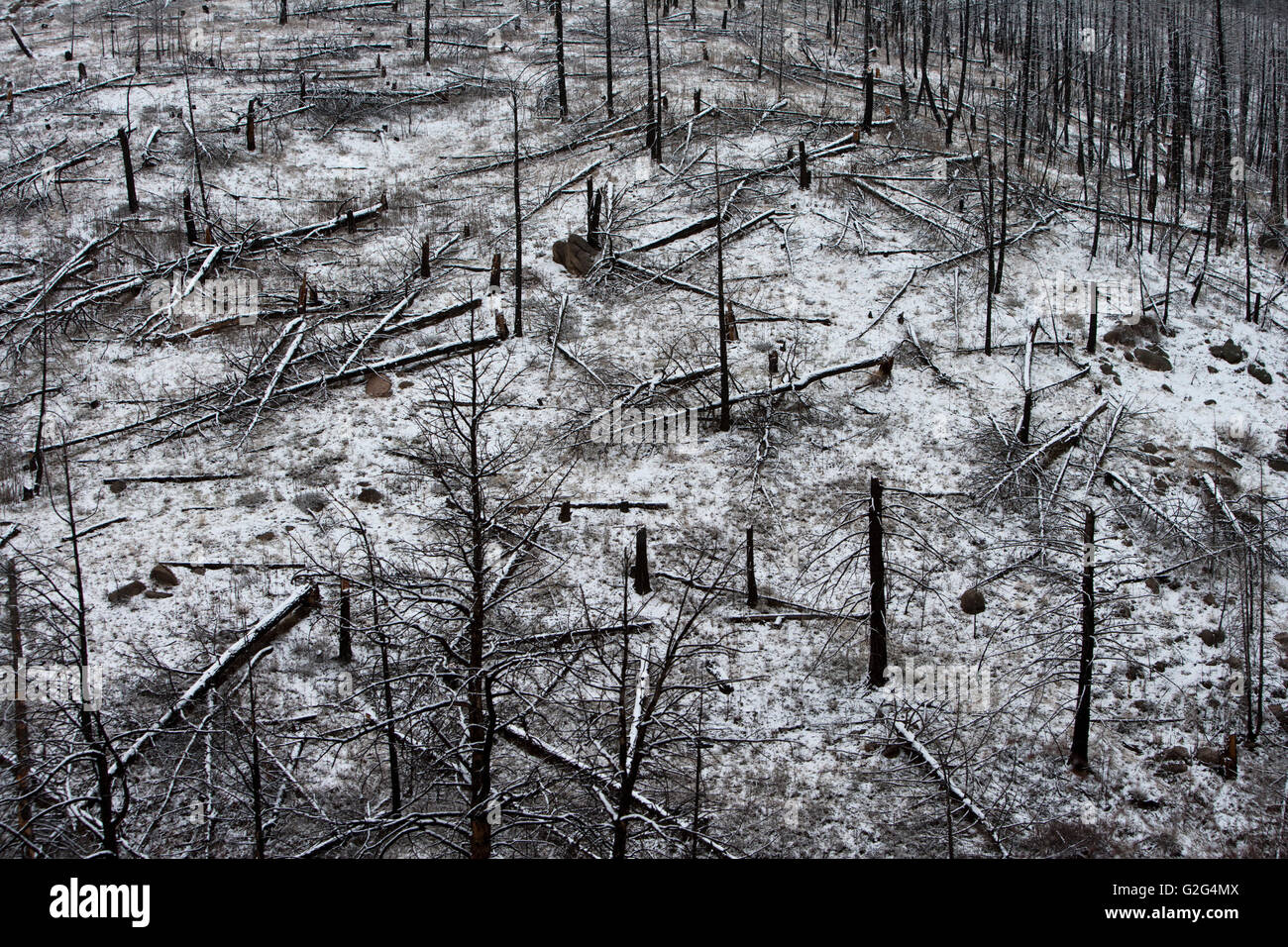 Remnants of fire hi-res stock photography and images - Alamy