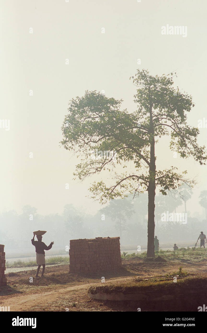 Laborer Carrying Stone on Head, India Stock Photo - Alamy