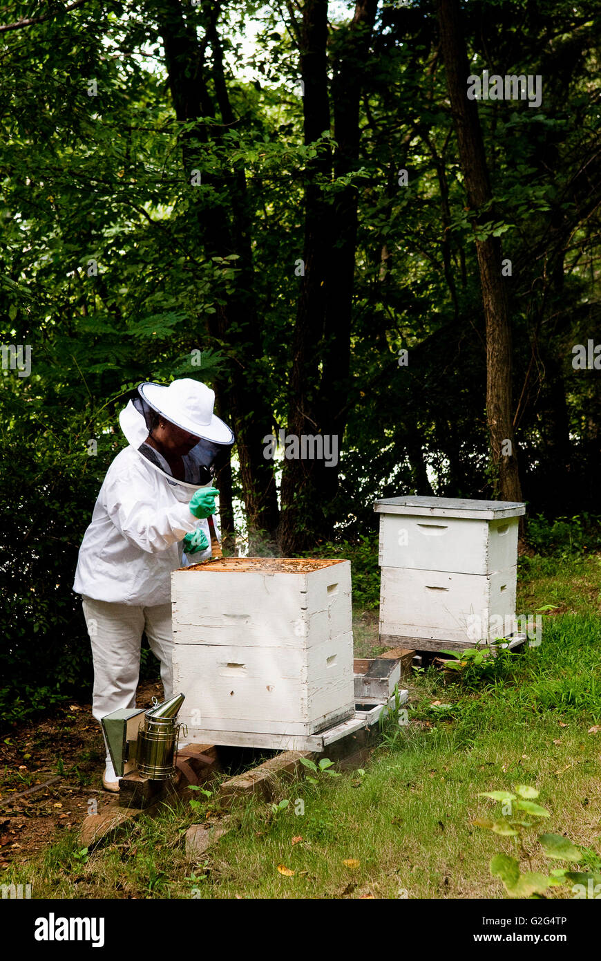 Beekeeper With Two Beehives Stock Photo - Alamy