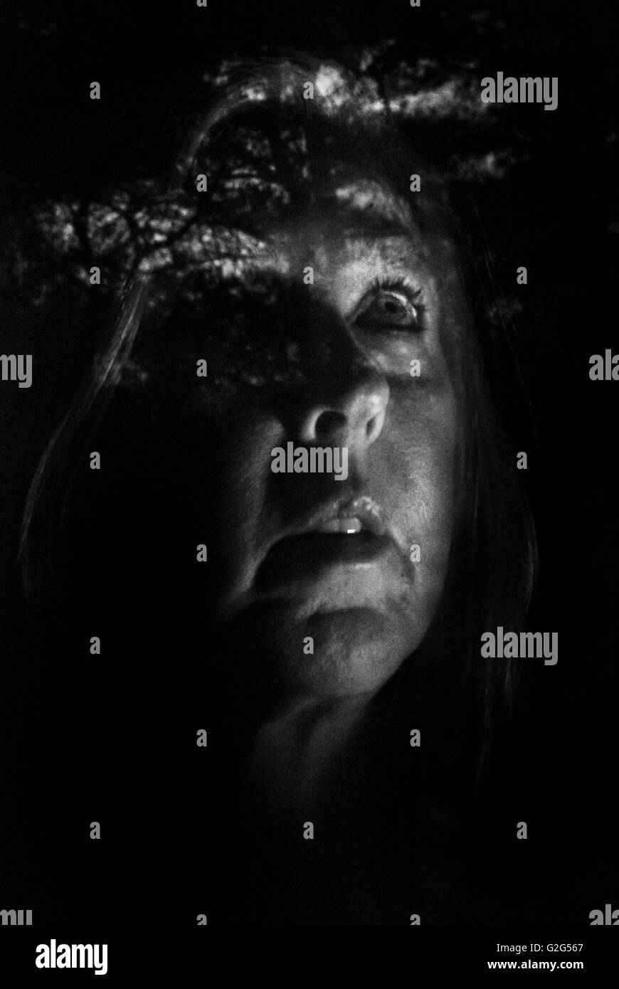 Behind glass window hi-res stock photography and images - Alamy