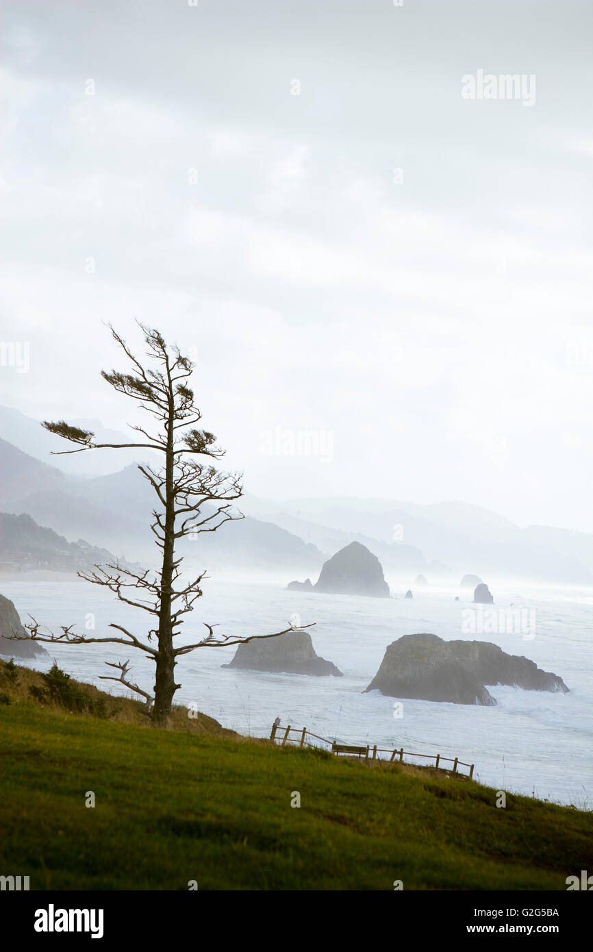 Windy Coastal Scenic, Oregon, USA Stock Photo - Alamy