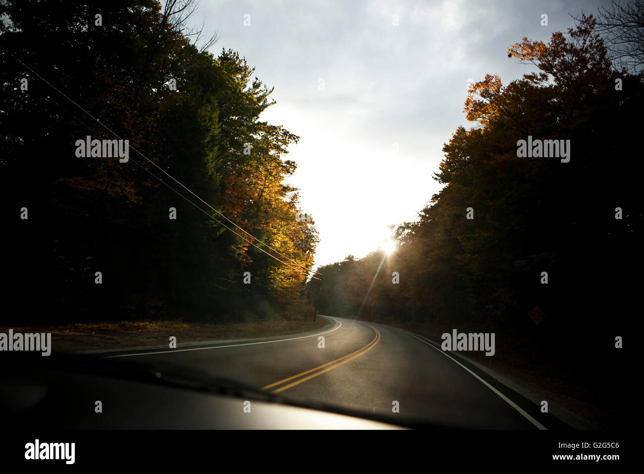 Sunset Road and Trees Stock Photo - Alamy