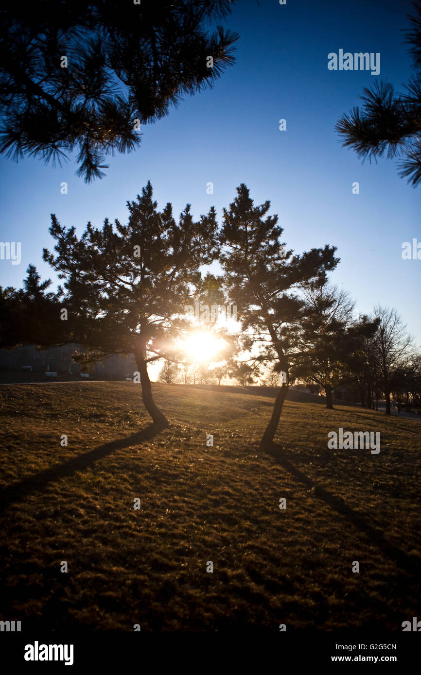 Sun Setting Between Two Trees Stock Photo - Alamy