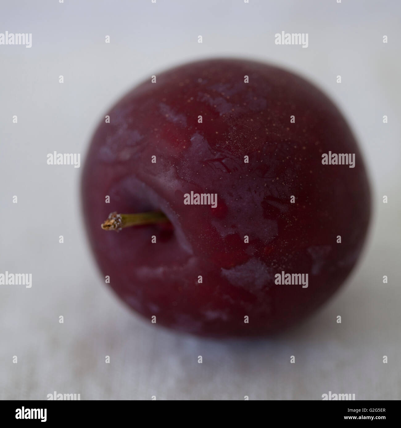 Purple Plum, Close Up Stock Photo - Alamy