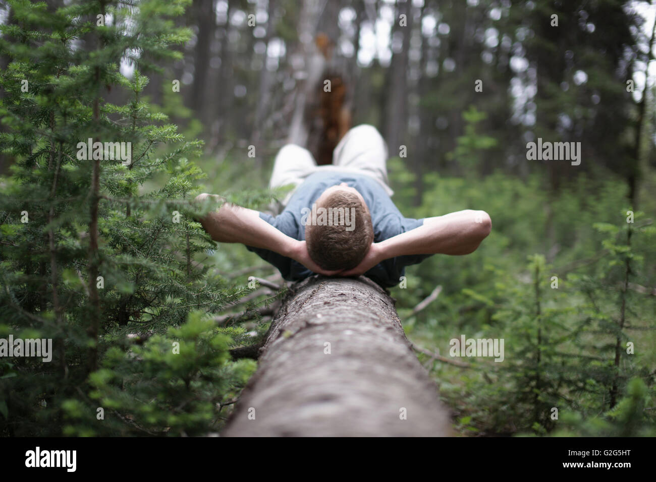 Young Man Laying on Log in Forest Stock Photo - Alamy