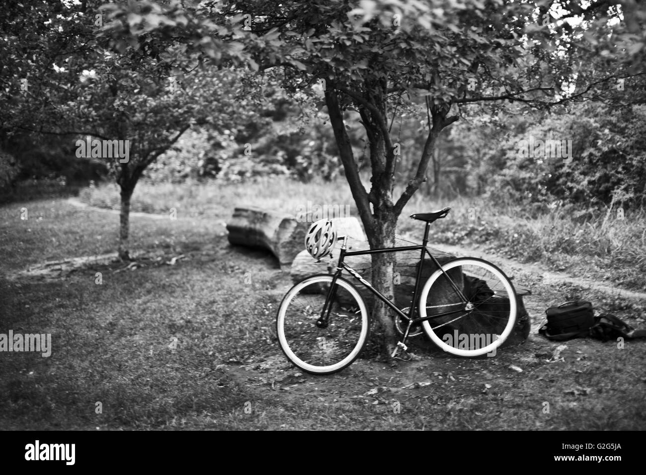Bicycle Leaning Against Tree Stock Photo - Alamy