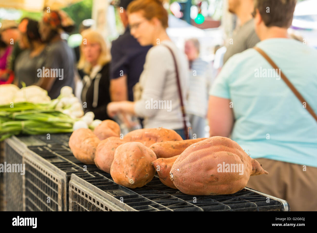 Weekend shopping on the Farmers Market in the Summer Stock Photo - Alamy