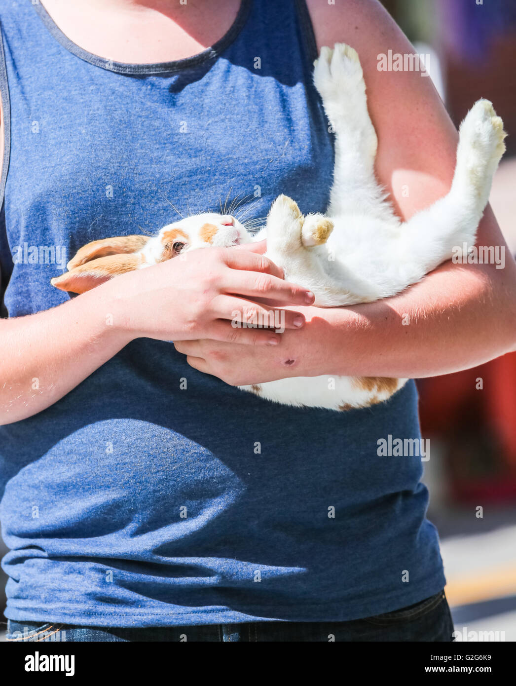 Boy holding his pat bunny rabbit Stock Photo - Alamy