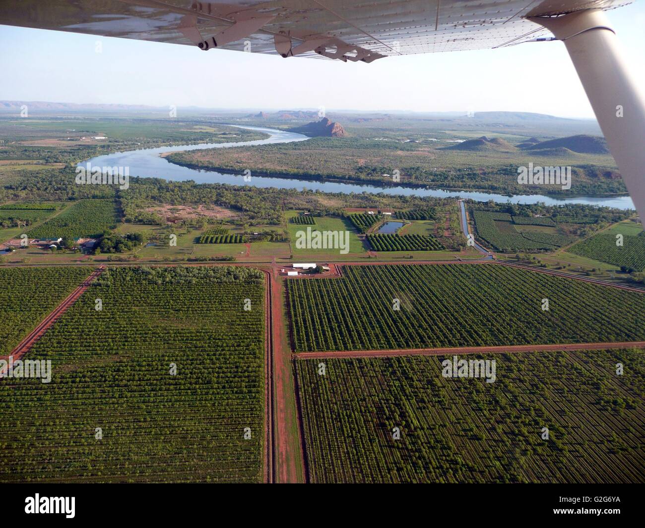 Aerial View of Tree Plantations including the Ord River in Western ...